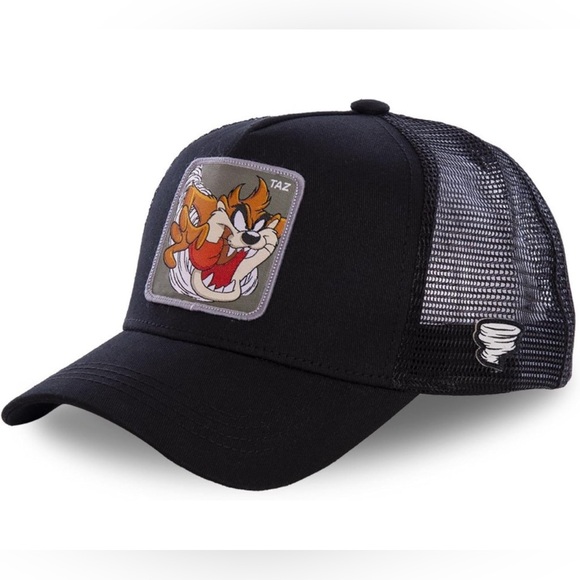 Accessories | Taz Hat New Adult Size Adjustable Looney Tunes Baseball ...